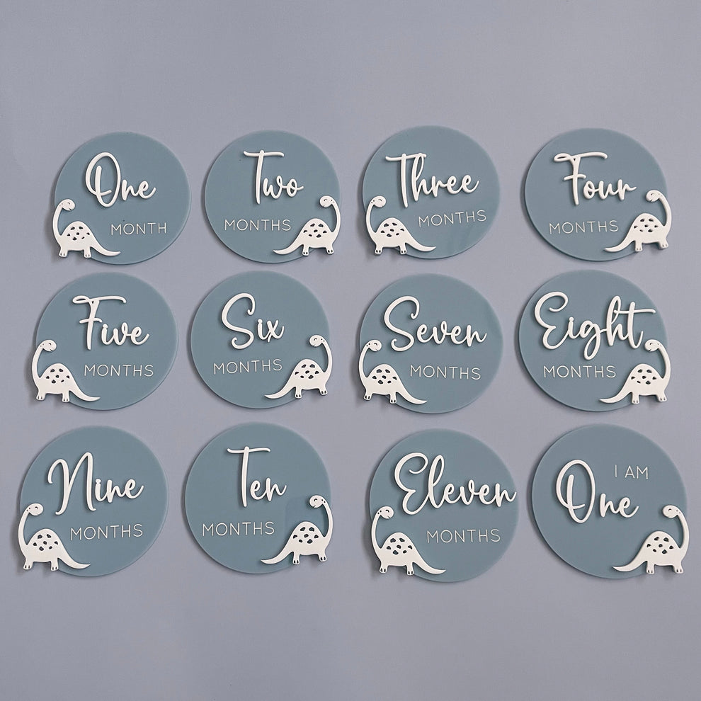 Dinosaur Milestone Disc Set – Studio 26 Laser Designs